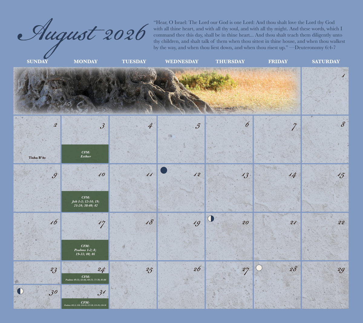 2026 Old Testament Come Follow Me Wall Calendar – The Meridian Shop