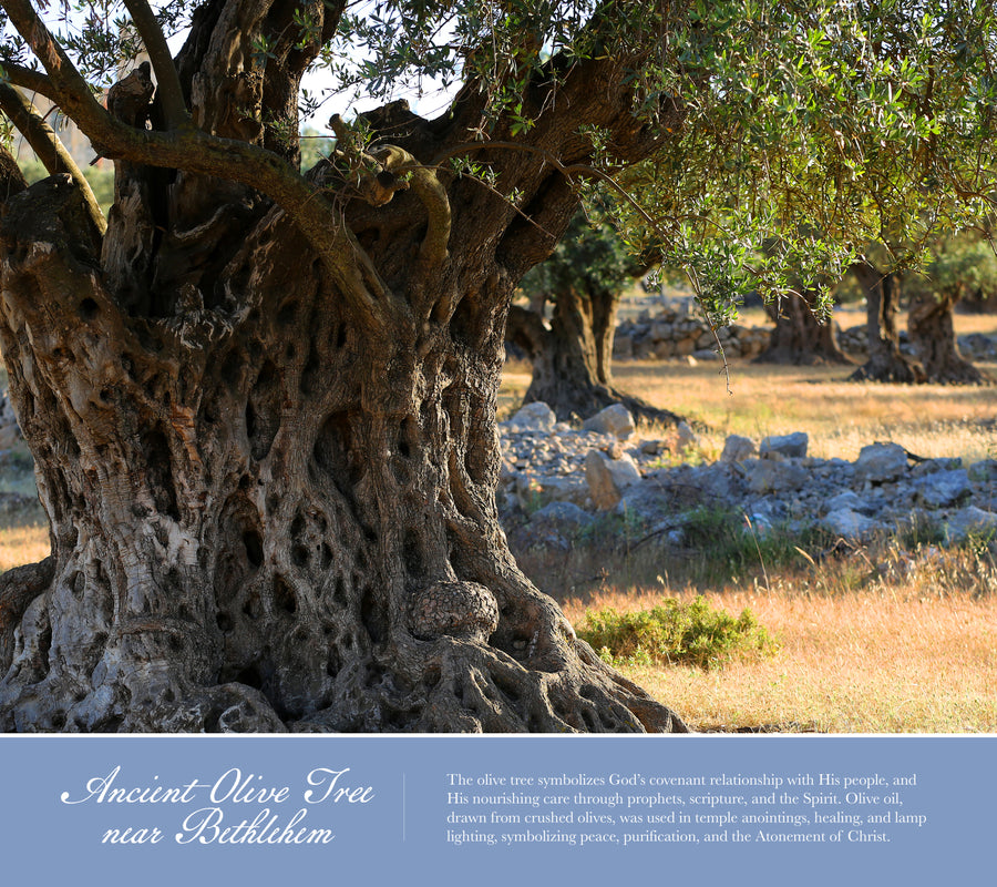 2026 Old Testament Come Follow Me Wall Calendar – The Meridian Shop